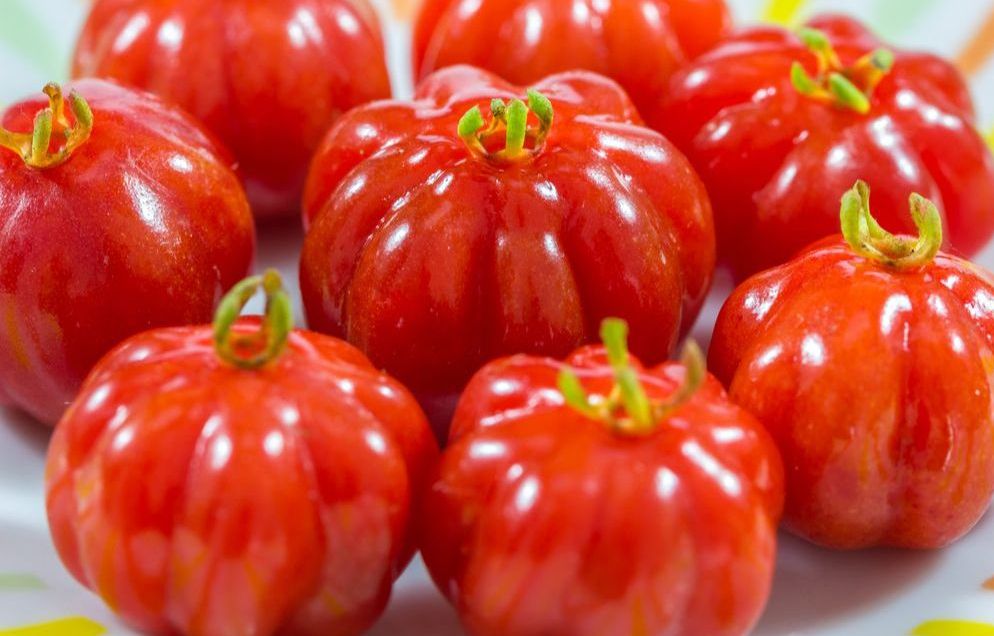 10 receitas com pitanga - Receita de Vovó