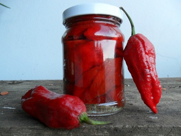 Pimenta em conserva - Receita de Vovó